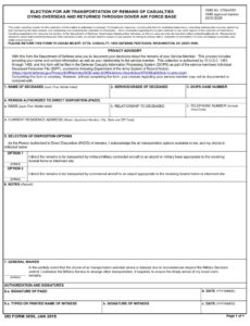 DD Form 3050 – Election Air Transportation of Remains of Casualties ...
